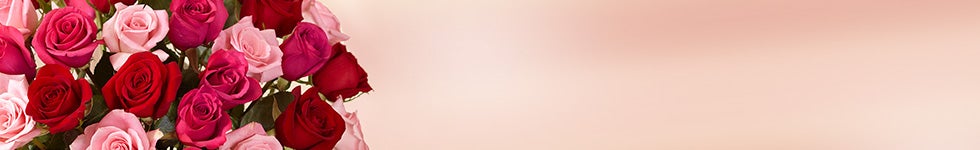 Valentine's Day Roses | Valentine Roses Delivery | 1800Flowers.com
