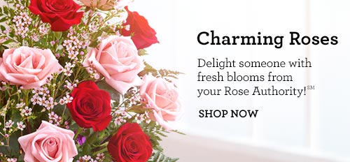 Flowers | Flower Delivery | Fresh Flowers Online | 1-800-FLOWERS.COM
