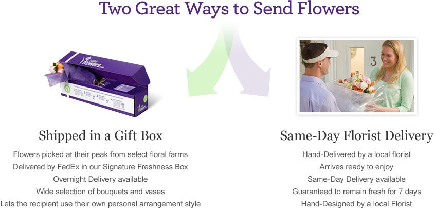 Vibrant Floral Medley™ | 1800Flowers.com - 167384