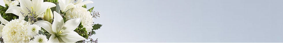 Passover Flowers | Send Passover Gifts | 1800Flowers.com