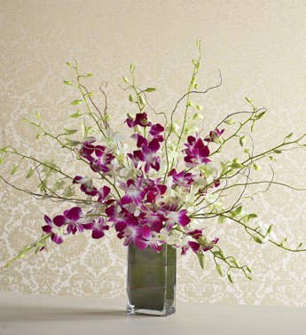 Jamaica | International Flower Delivery | 1-800-Flowers.com