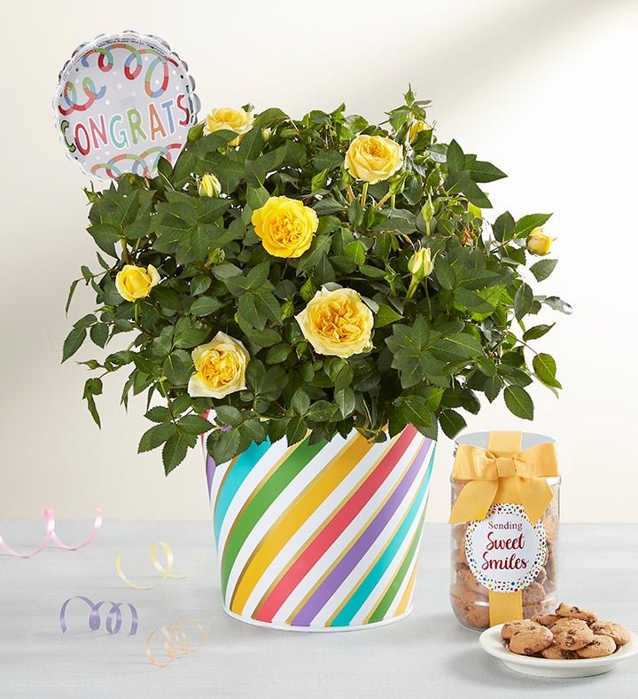 7 Graduation Party Ideas | Petal Talk