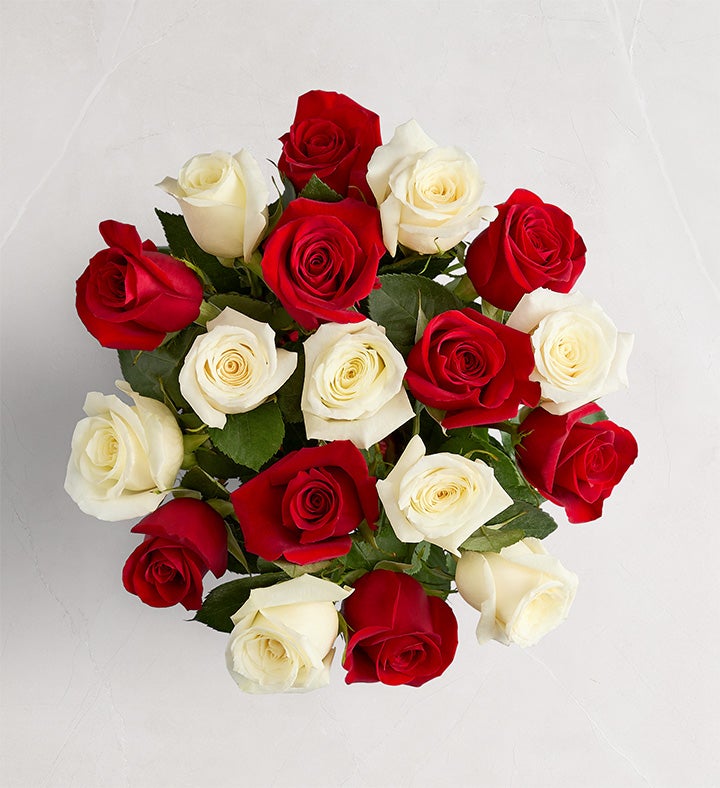 Peppermint Rose Bouquet™ from 1-800-Flowers.com | SendFlowers.io