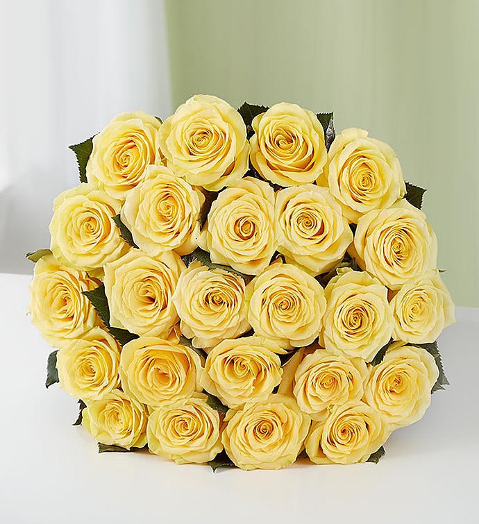Two Dozen Yellow Roses from 1-800-FLOWERS.COM