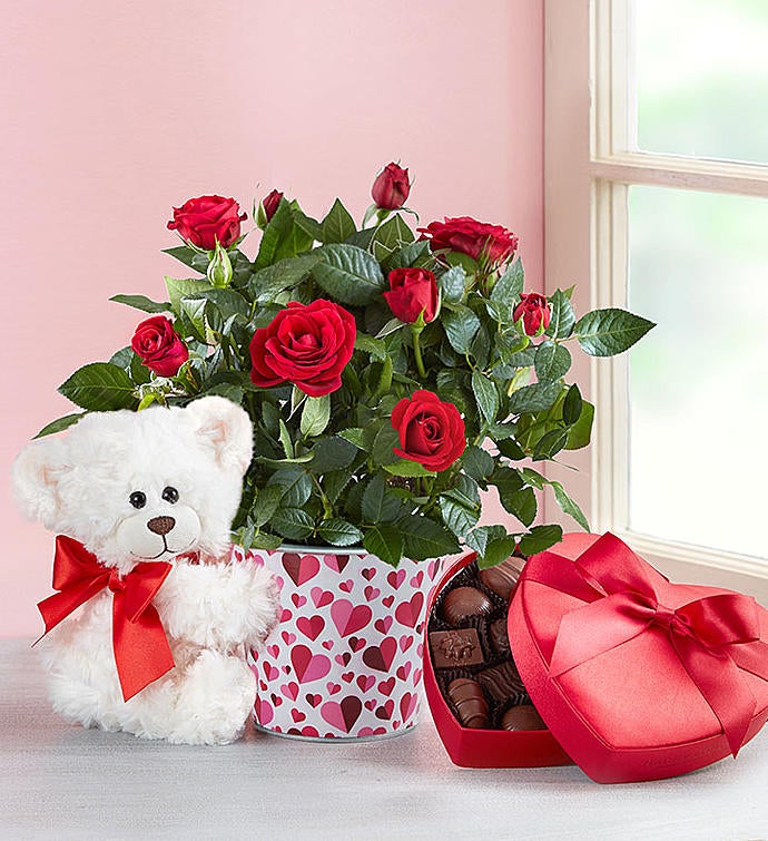Love & Romantic Flowers and Gifts | 1800Flowers.com