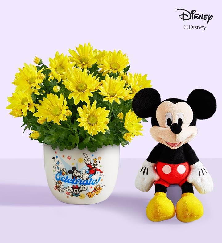 Daisy Facts, History, & Symbolism | Petal Talk