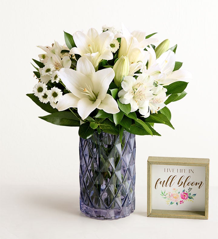 Fun Facts About Lilies | Petal Talk