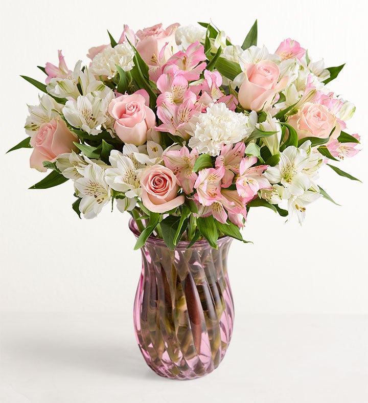 January Birth Flowers: The Carnation & Snowdrop | Petal Talk