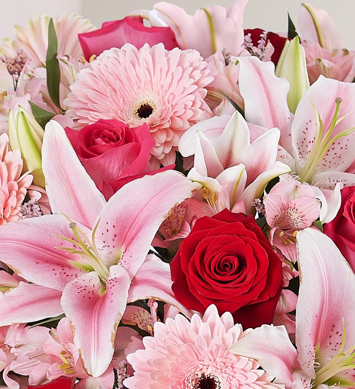 Fields of Europe® Romance- Luxe