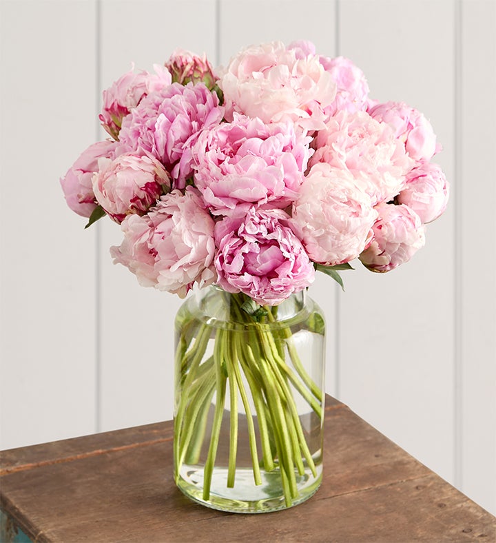 Flowers That Symbolize Strength | Petal Talk