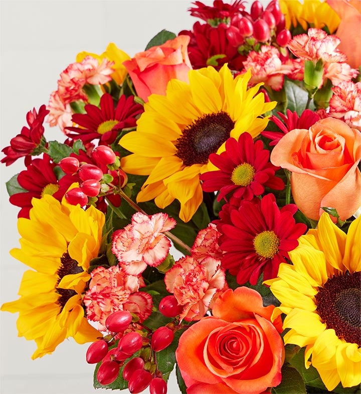 Fall Splendor from 1-800-Flowers.com | SendFlowers.io