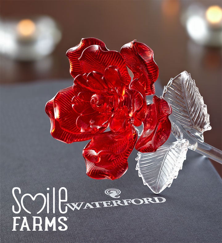 Waterford® Glass Rose