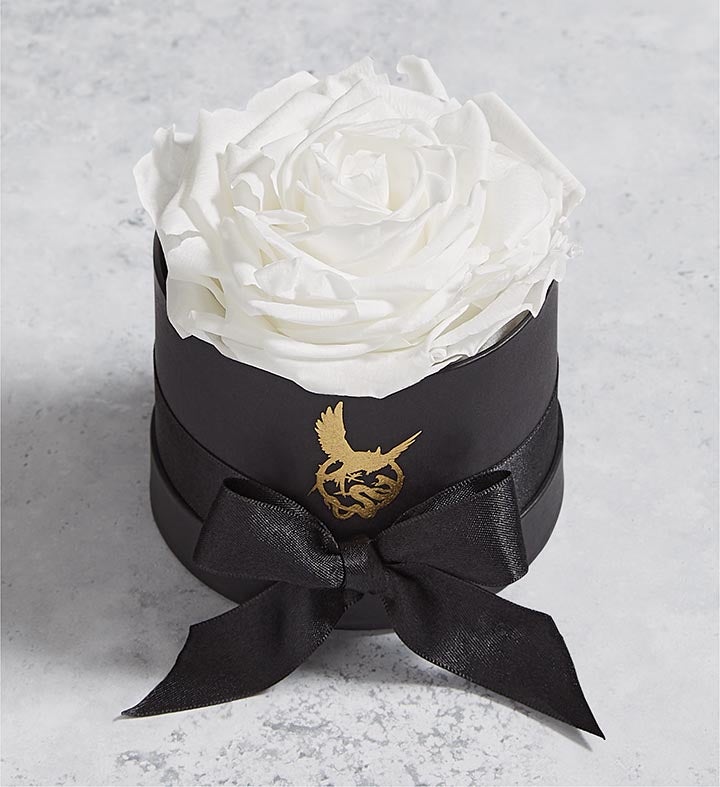 Hunger Games by Magnificent Roses®