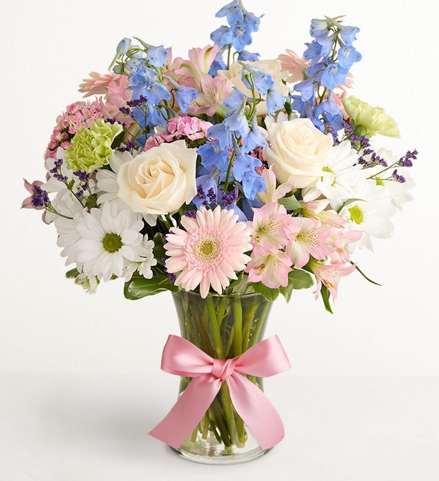 Delphinium: The 2026 Flower of the Year & Its Meaning | Petal Talk