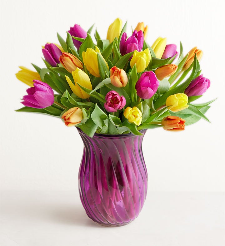 Learn All About Each Tulip Color Meaning | Petal Talk