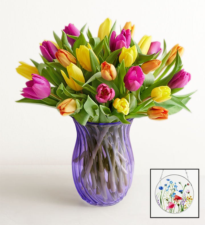 Learn All About Each Tulip Color Meaning | Petal Talk