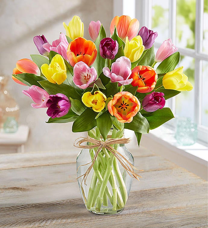 10 Fun Facts About Tulips | Tulip Facts