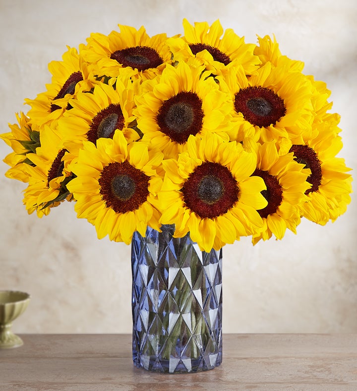 Sunflower Bouquet | 1800Flowers.com - 95044