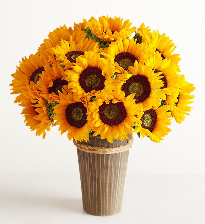 Sunflower Meaning and Symbolism | Petal Talk