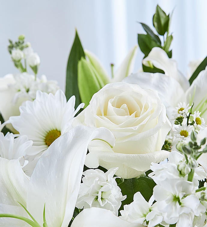 Sincerest Sorrow™ All White | 1800Flowers.com