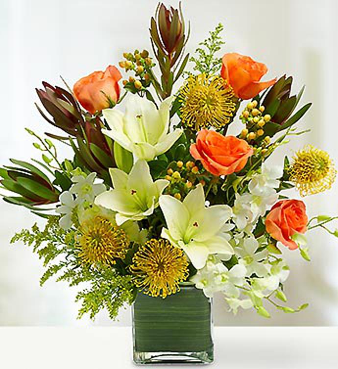 South Africa | Flowers and Gifts | 1800Flowers.com