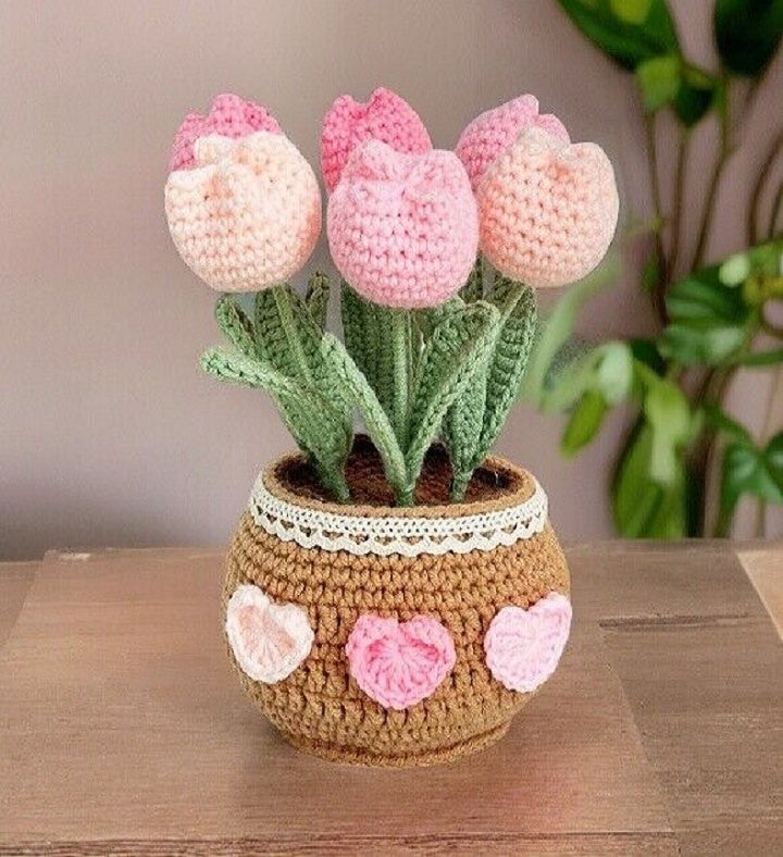 10 Fun Facts About Tulips | Tulip Facts