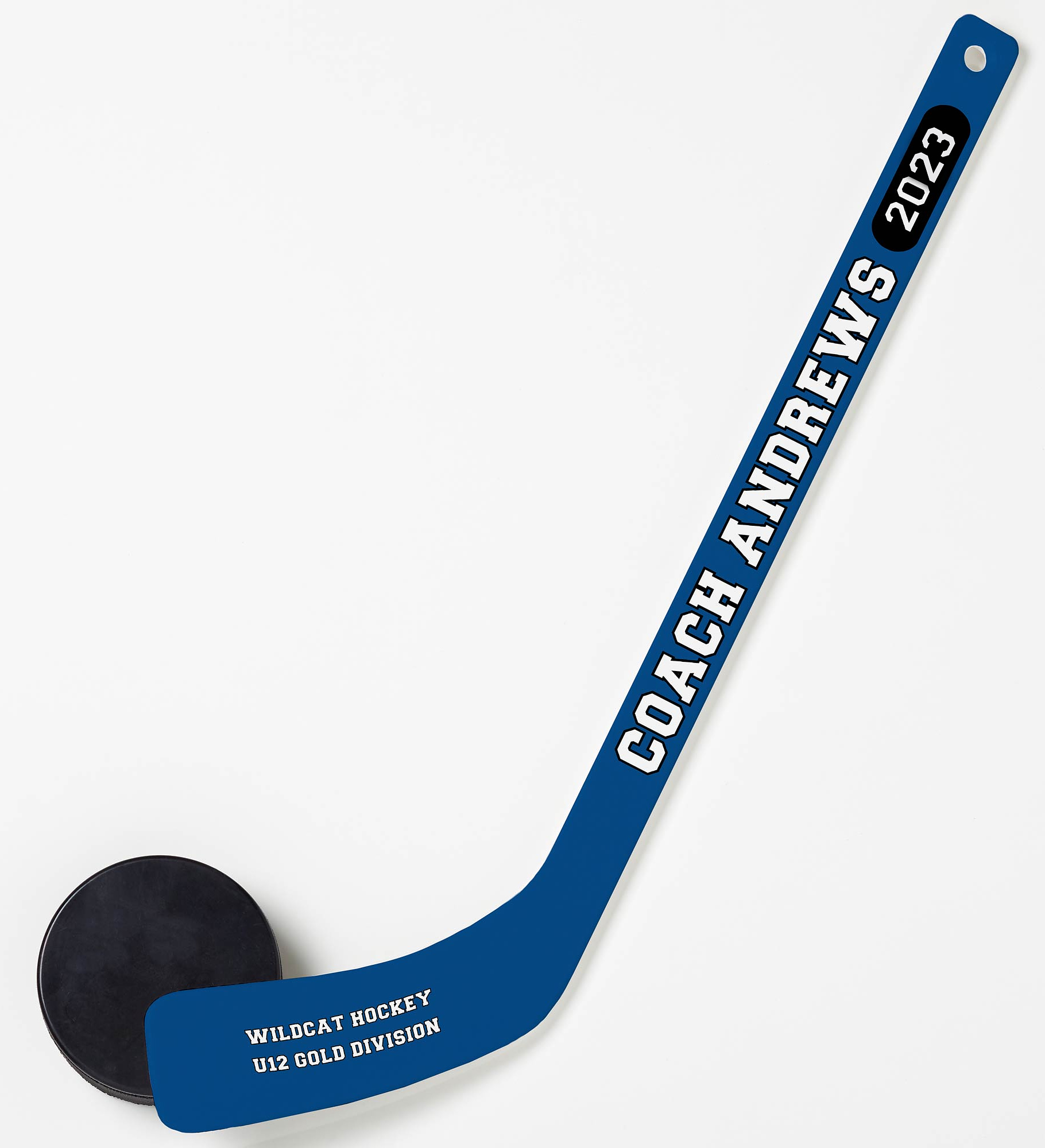 Our Coach Personalized Plastic Mini Hockey Stick